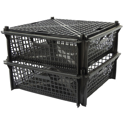 Large Plastic Shellfish & Oyster Containers for Harvesting — Union Jack ...